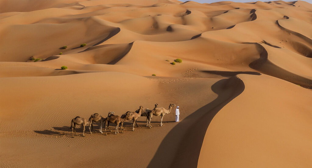 Gallery – The Outpost Al Barari