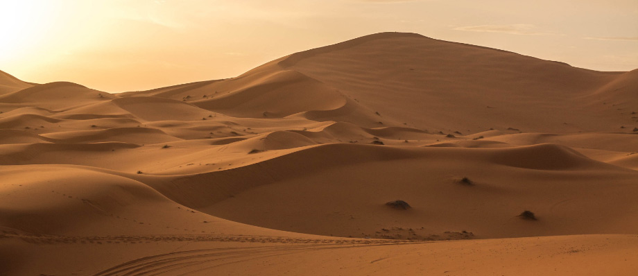 Events – The Outpost Al Barari